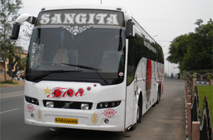 Gallery - punbusonline.com